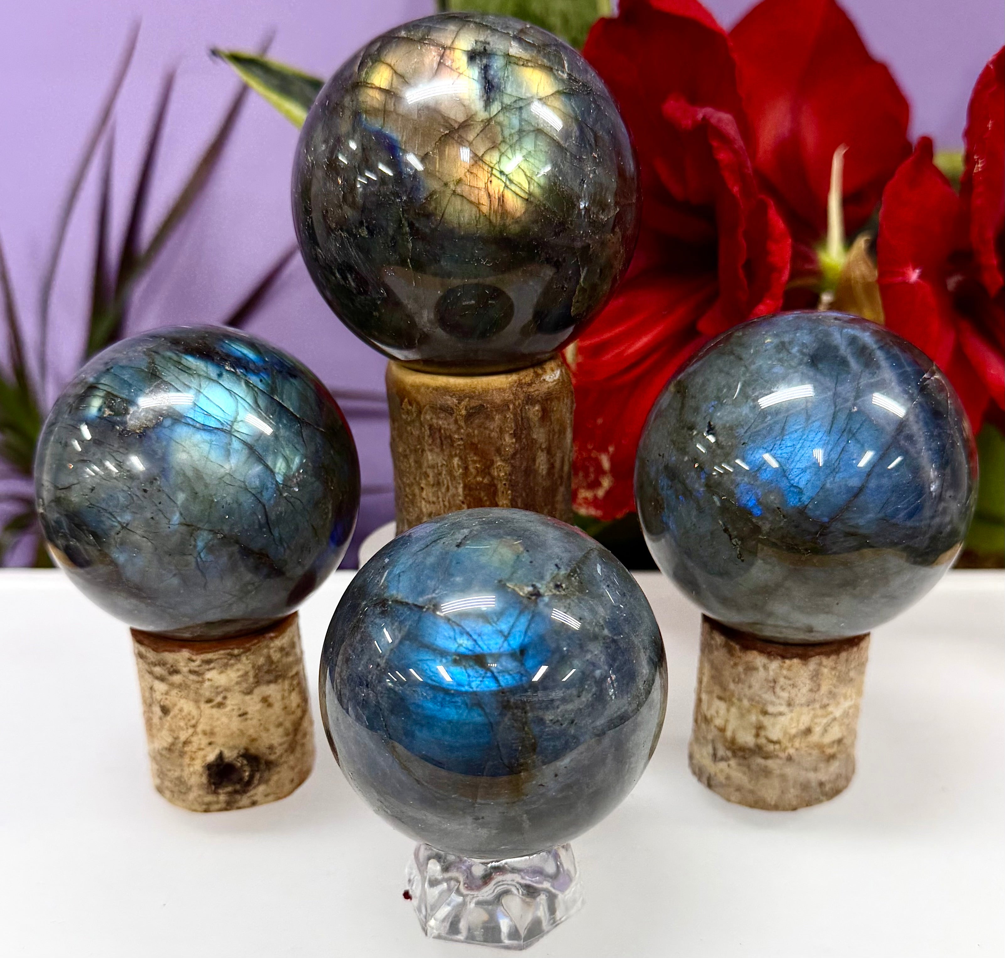 Wholesale Lot 3-4 pcs Natural Labradorite Sphere Crystal Ball healing ...